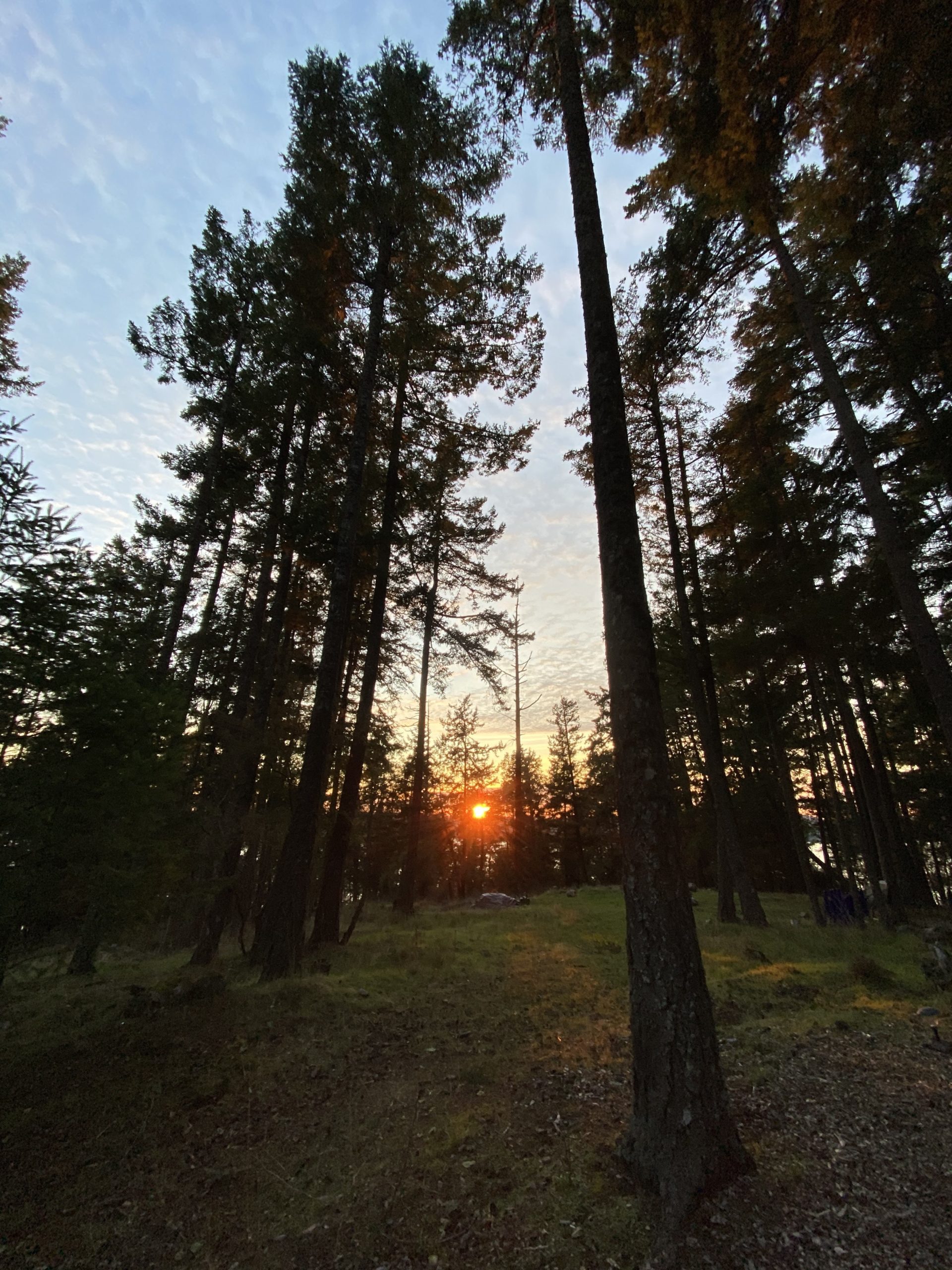 So Many New and Different Things - Olive Public Relations, Inc.